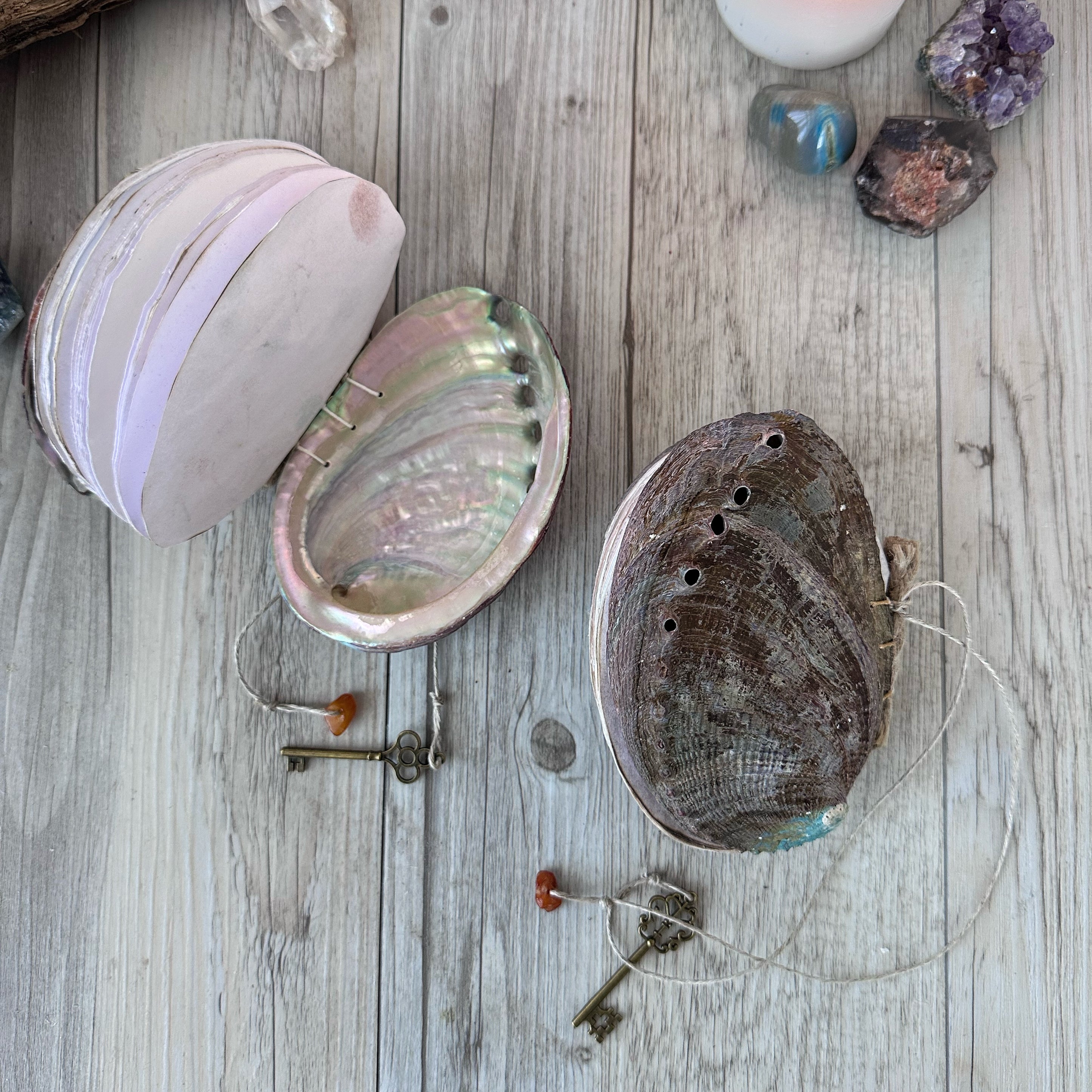 Abalone shell journal (free shipping) – White Spell Studio
