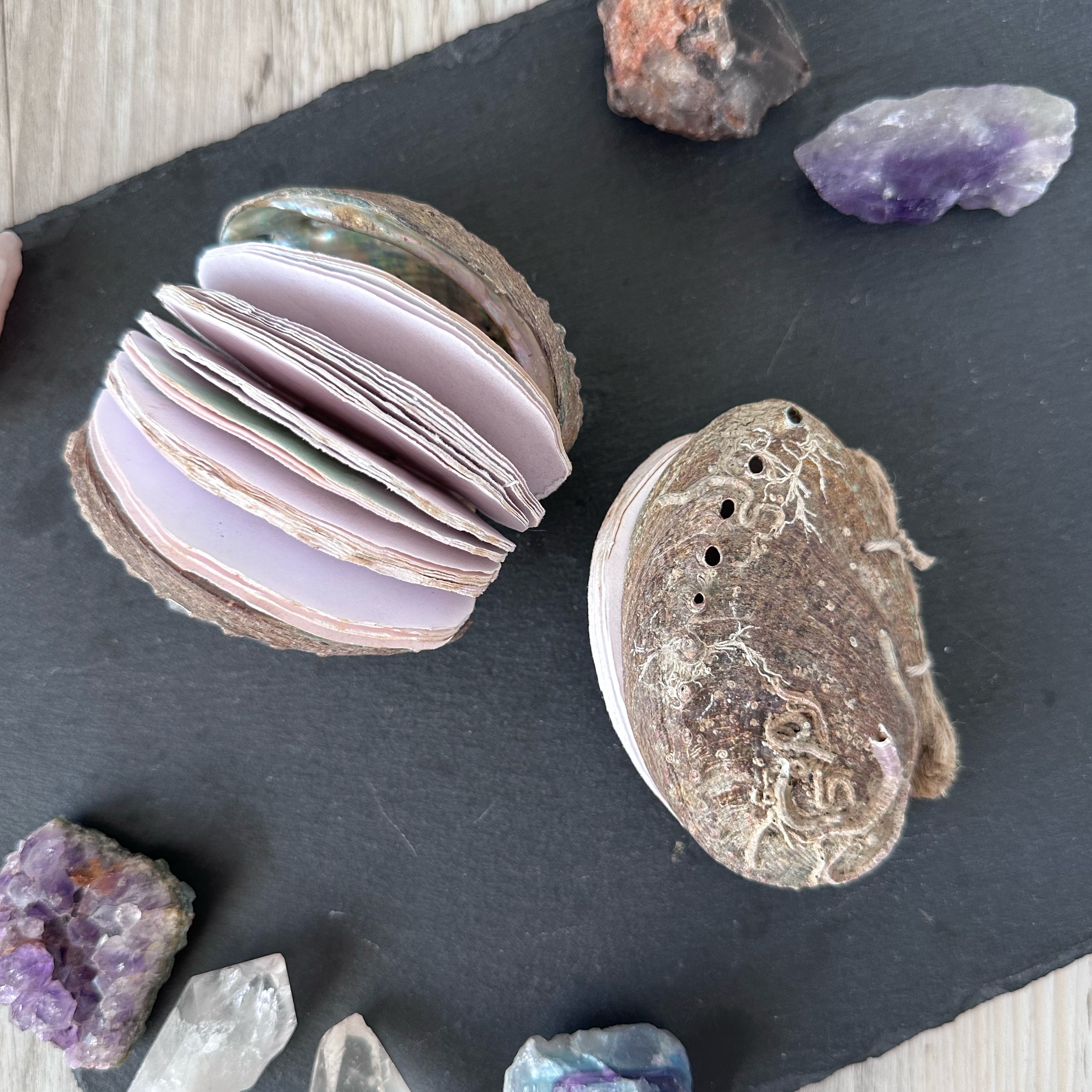 Abalone shell journal (free shipping) – White Spell Studio